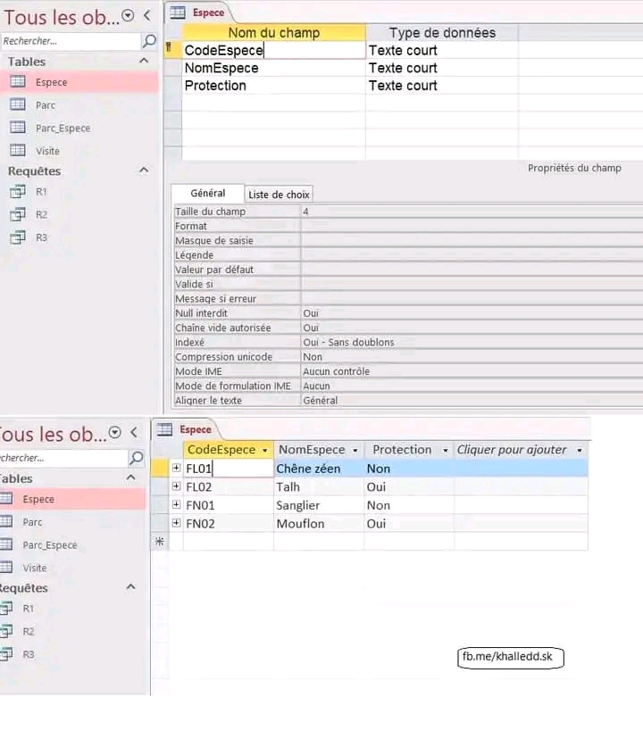 Bac Econmie et Gestion Informatique Examen pratique informatique Bac ...