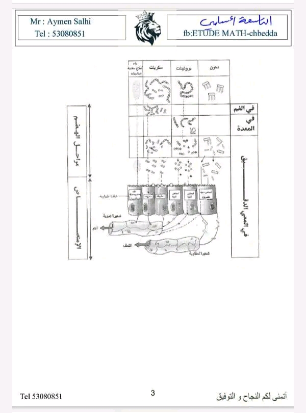 9 ème-التاسعة أساسي علوم الحياة والأرض علوم الارض و الحية درس التغذية