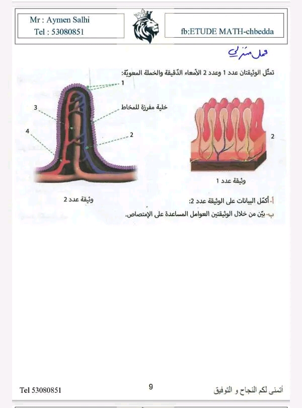9 ème-التاسعة أساسي علوم الحياة والأرض علوم الارض و الحية درس التغذية