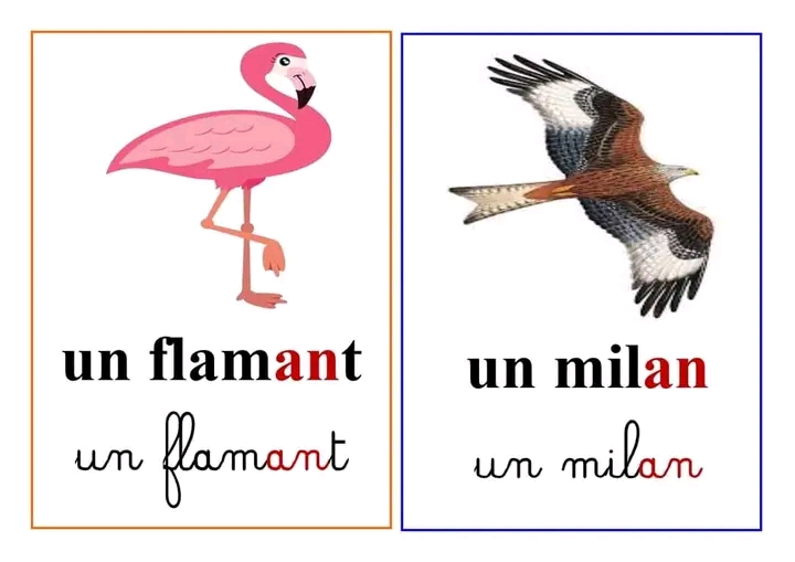 سنة ثالثة إبتدائي Français Cours et affichage 3 ème année unité 5 (les ...