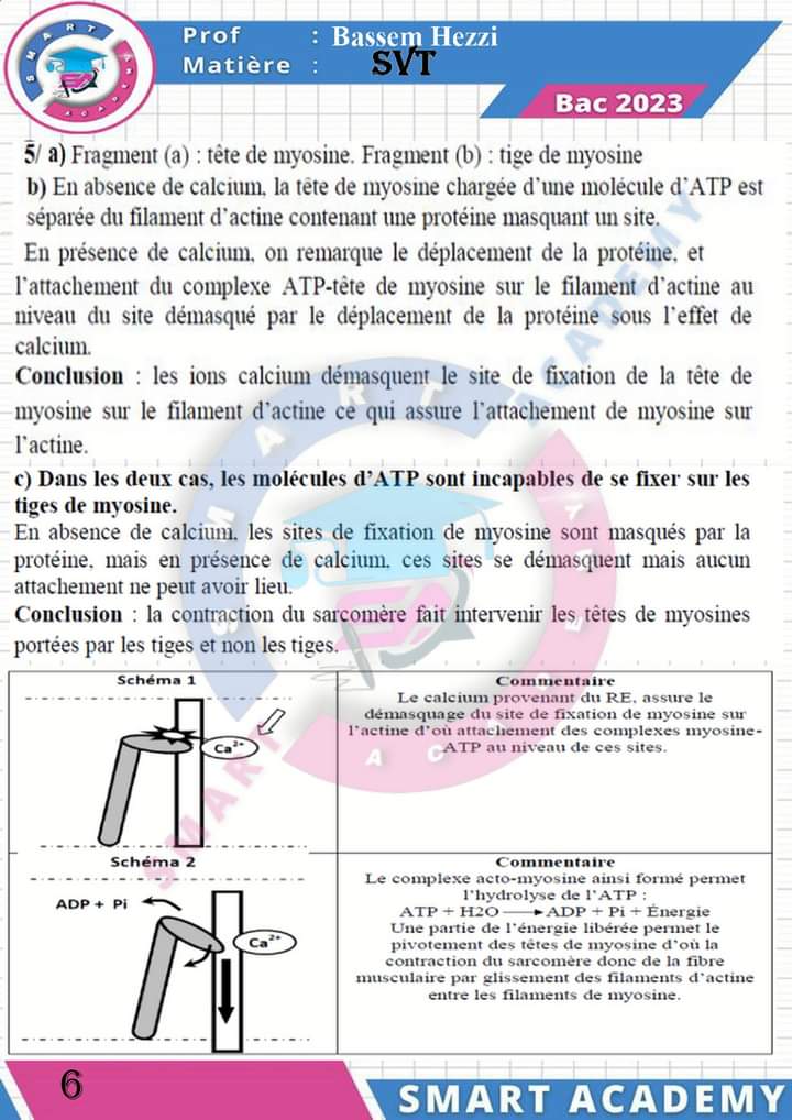 Bac Sc expérimentales Sciences SVT Correction Série de révision ...