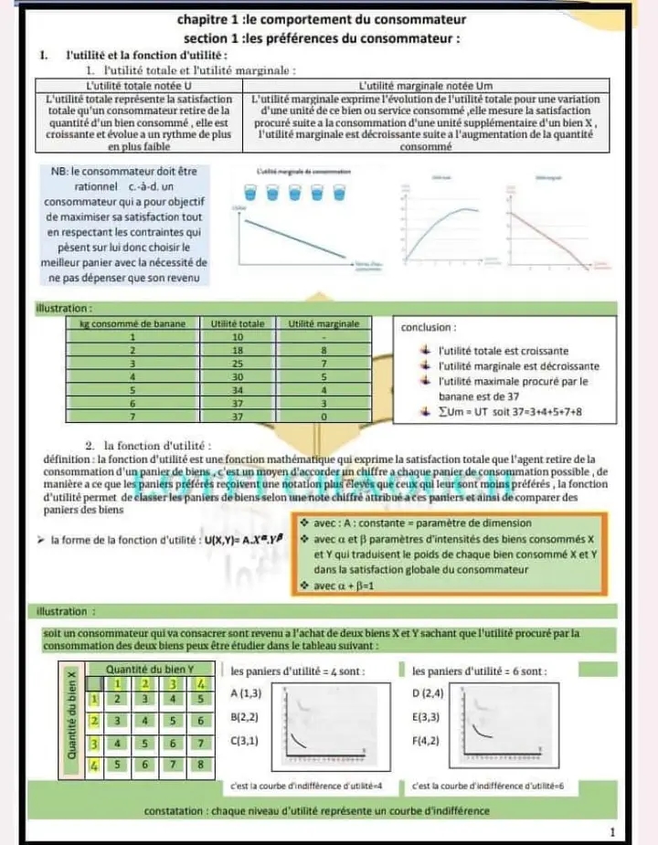 Bac Econmie et Gestion Economie Chapitre 1:le comportement du ...