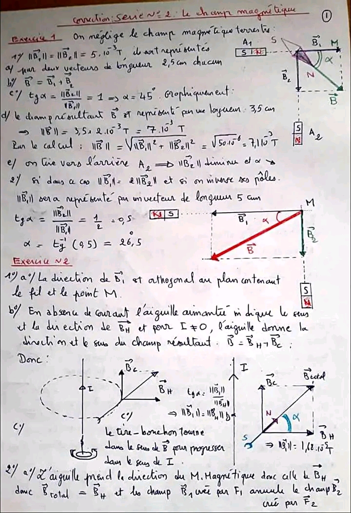 Bac Sc expérimentales Physique Serie interaction magnétique avec correction