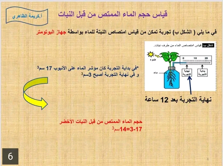 8 ème-الثامنة أساسي علوم الحياة والأرض محتوى درس حاجة النباتات الى الماء
