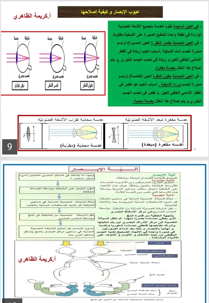 9 ème-التاسعة أساسي علوم الحياة والأرض #9أساسي ***درس دراسة إحساس شعوري الإبصار