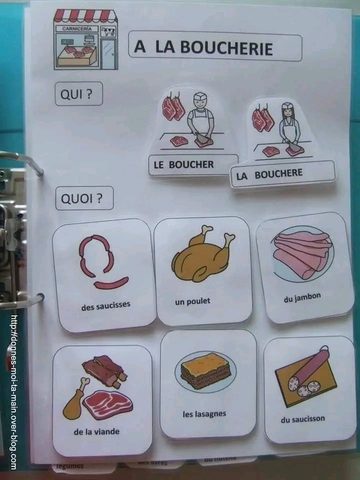 السنة السادسة ابتدائي Français Les métiers #6ème année