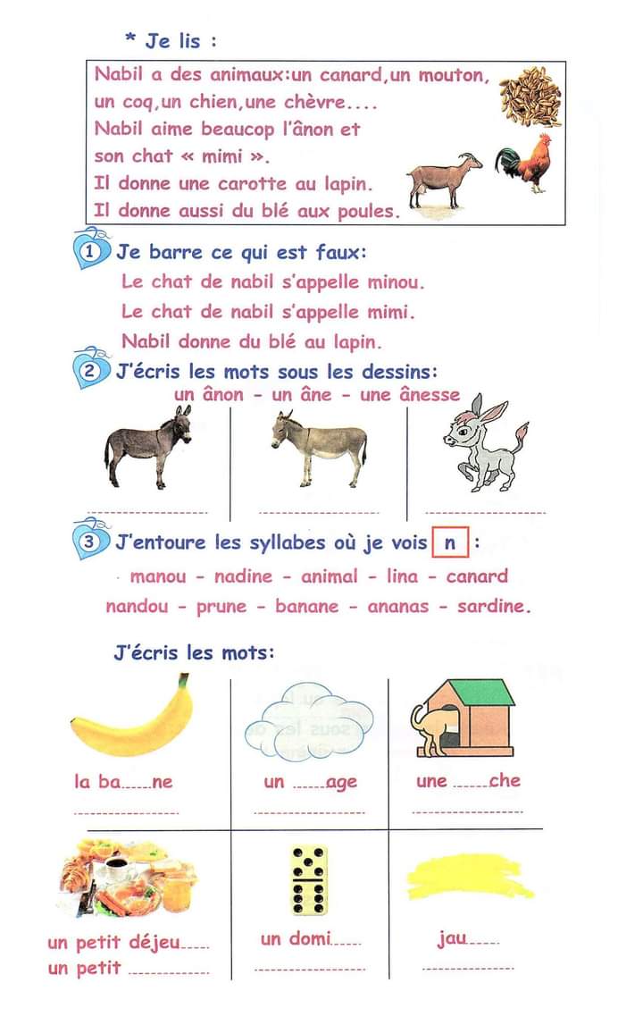 السنة الثالثة ابتدائي Français Module 5/ 3éme année primaire