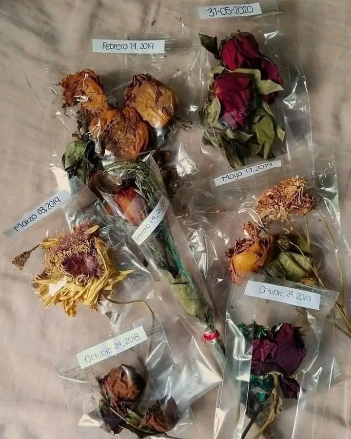 2 ème Technologie de l'informatique Technologie Devoir technique ...